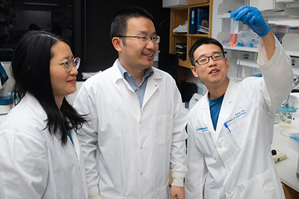 Two genes could hold key to preventing CAR-T cell exhaustion, Center ...