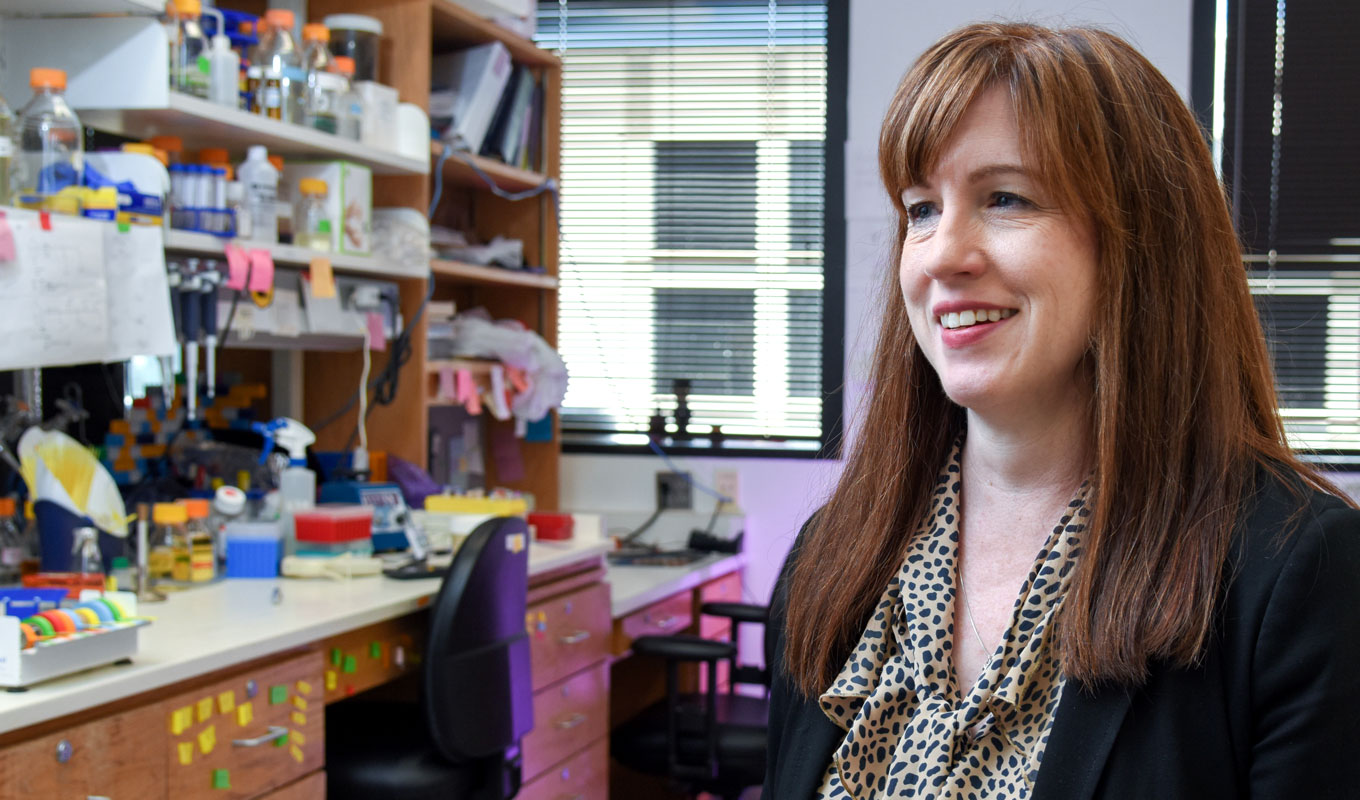 The frontier that lines the gut: In Pursuit - UT Southwestern, Dallas ...