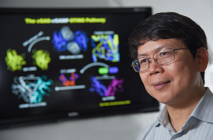 Leading the state in HHMI Investigators: In Pursuit - UT Southwestern, Dallas, Texas