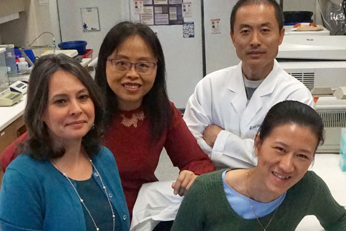 Double duty: Developing drugs with action against cancer and heart ...