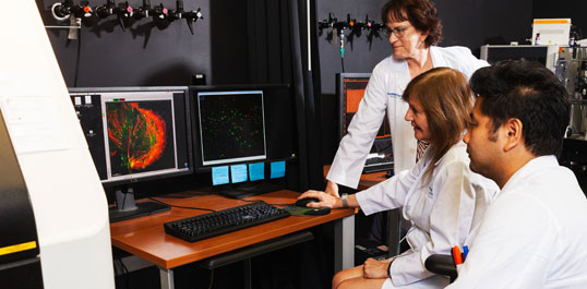 Postdoctoral Scholars - UT Southwestern, Dallas, Texas